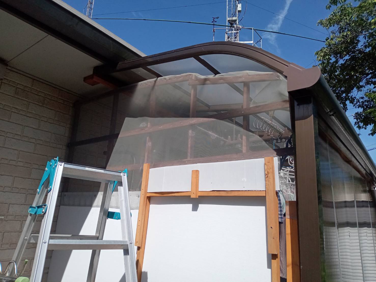 2024年12月: さあ、出かけよう！